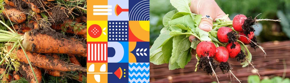 Ce legume plantam in luna aprilie? | Hectarul.ro