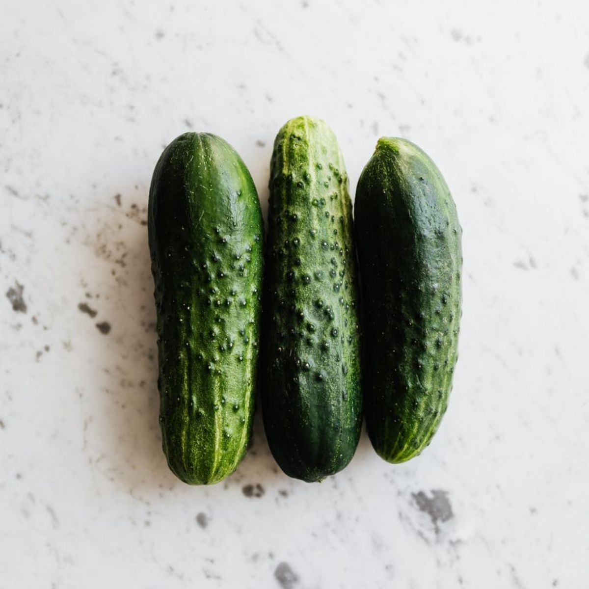 Seminte Castraveti cornichon PARIS NATIONAL Pop Vriend 10 g | Hectarul.ro